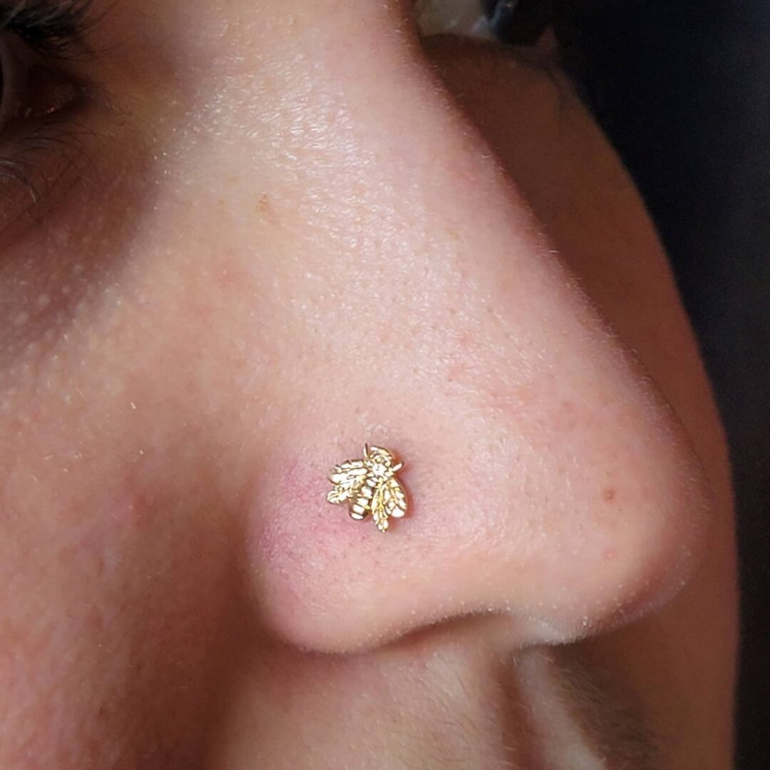 Canvas Tattoo & Piercing Studio - Expert Piercing Services